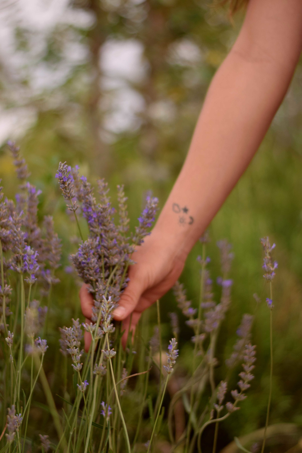 Gaialab - Cosmética ecológica, natural y vegan - It's our nature